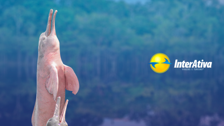 A verdadeira história do boto-cor-de-rosa - InterAtiva Viagens